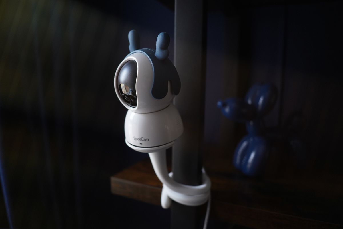 The best pet camera | Digital Camera World