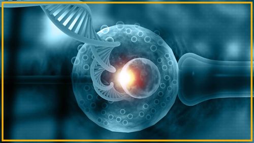 Will brain transplants ever be possible? | Live Science