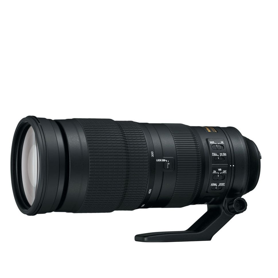 The best lenses for safari photography: get close to wildlife while maintaining a respectful ...