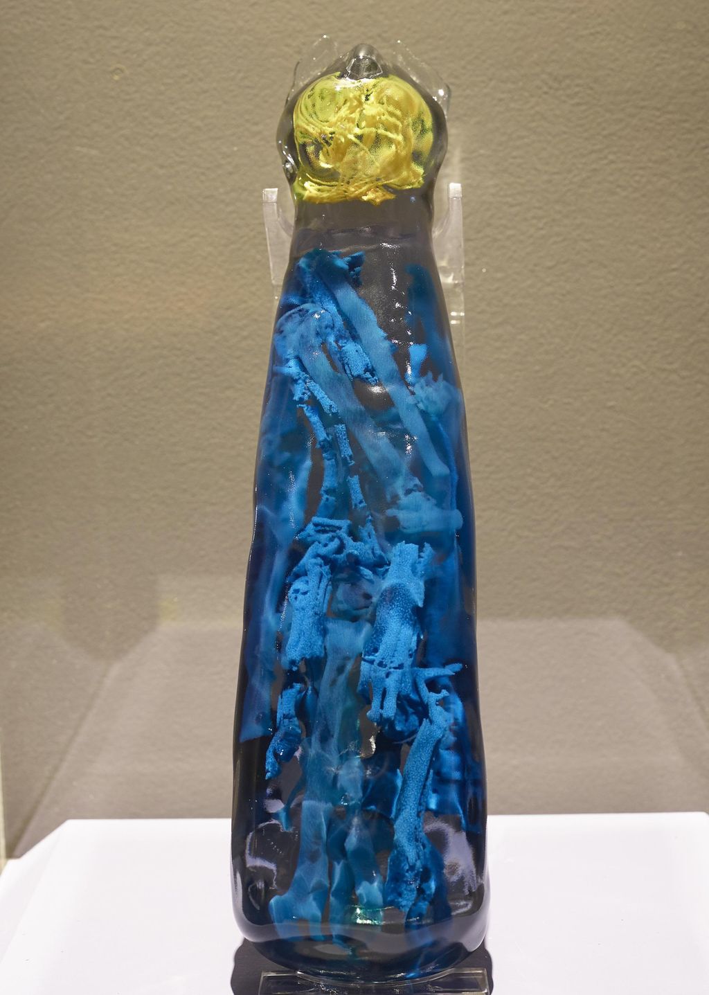 Inside Ancient Egyptian Cat Mummy, Archaeologists Find the Remains of 3 ...