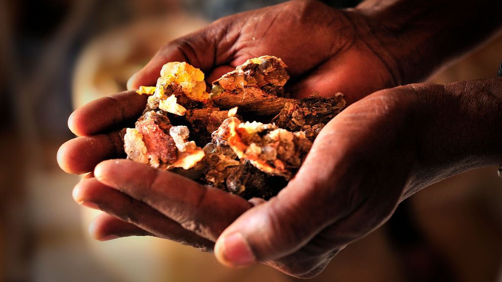 What is frankincense? | Live Science