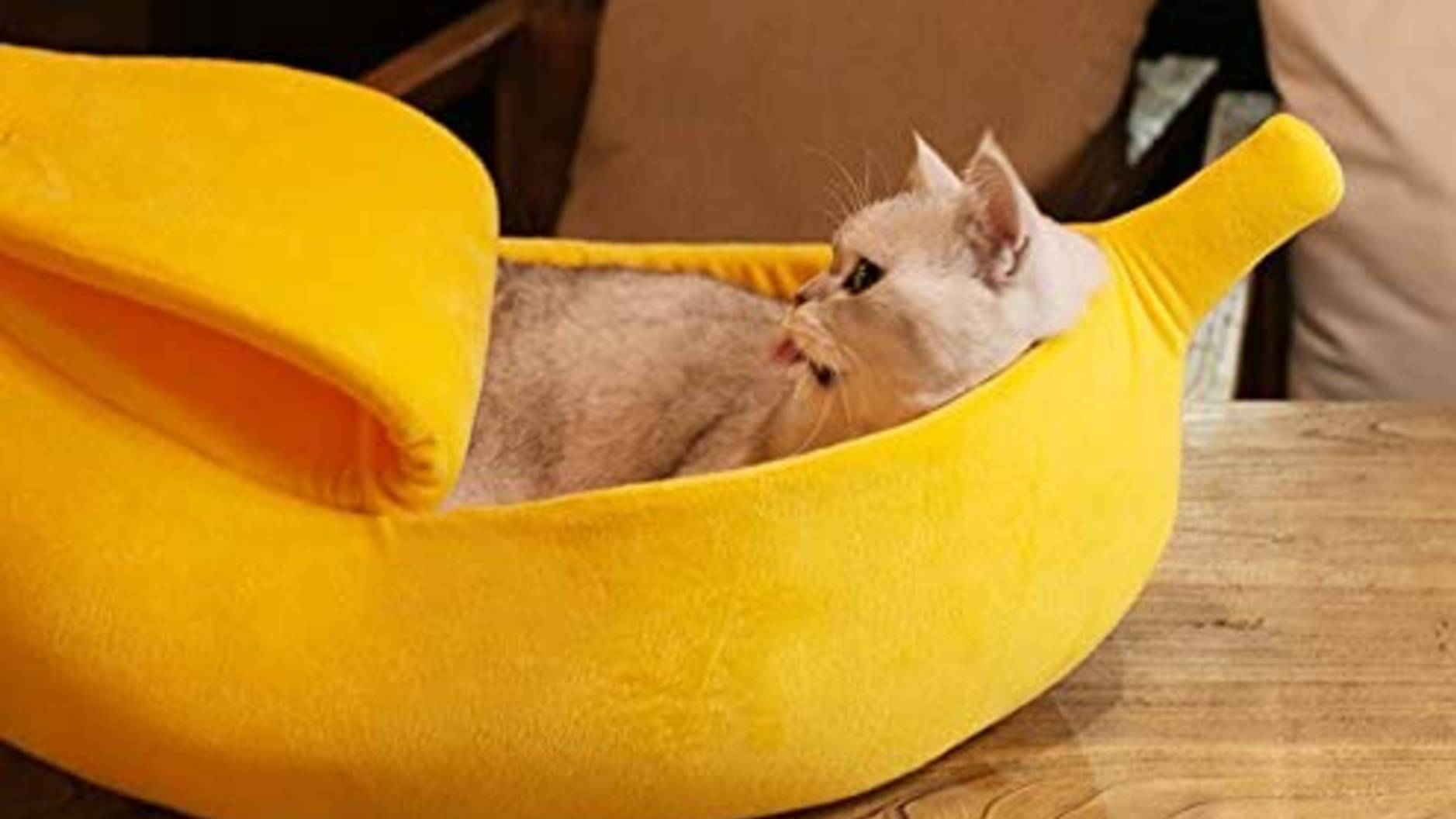 10 cute cat beds your feline will love | PetsRadar
