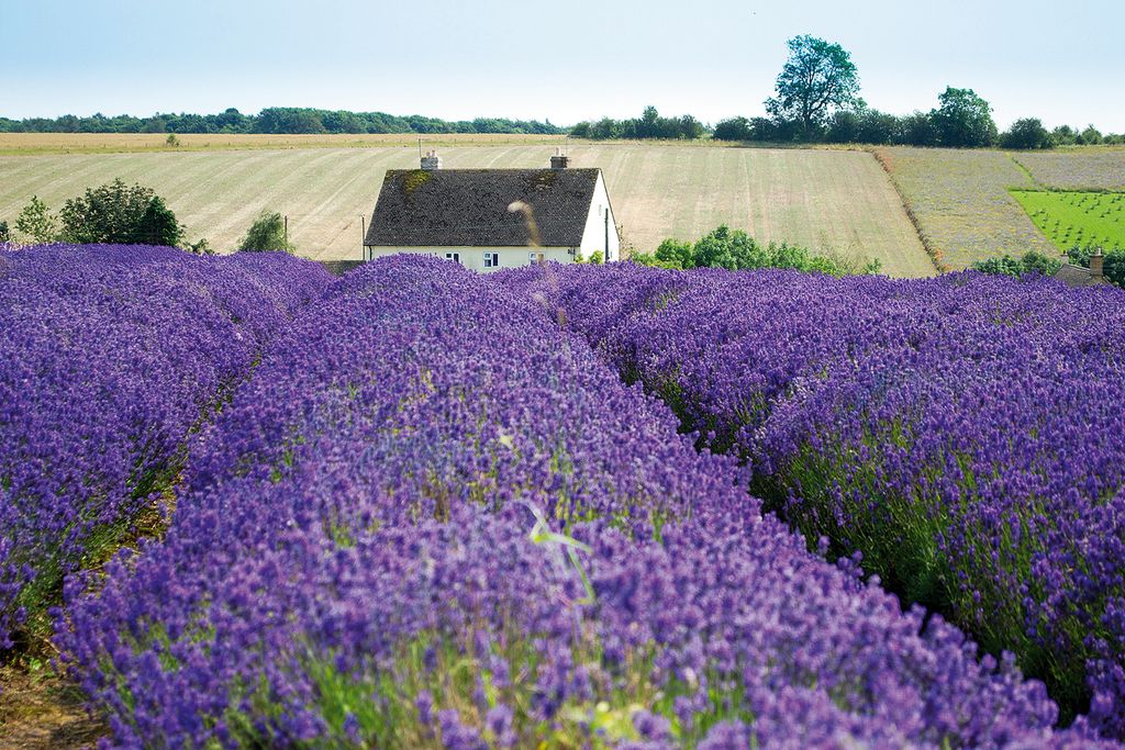 Hyperfocal distance and depth of field explained for landscape ...