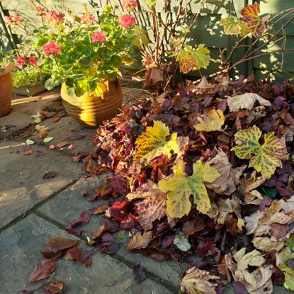 The 1 place you should never, ever put wet leaves | Ideal Home