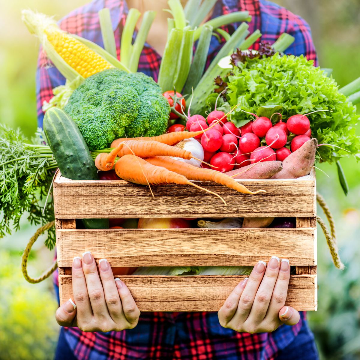 How & When To Harvest Vegetables For The Freshest Flavor | Gardening ...
