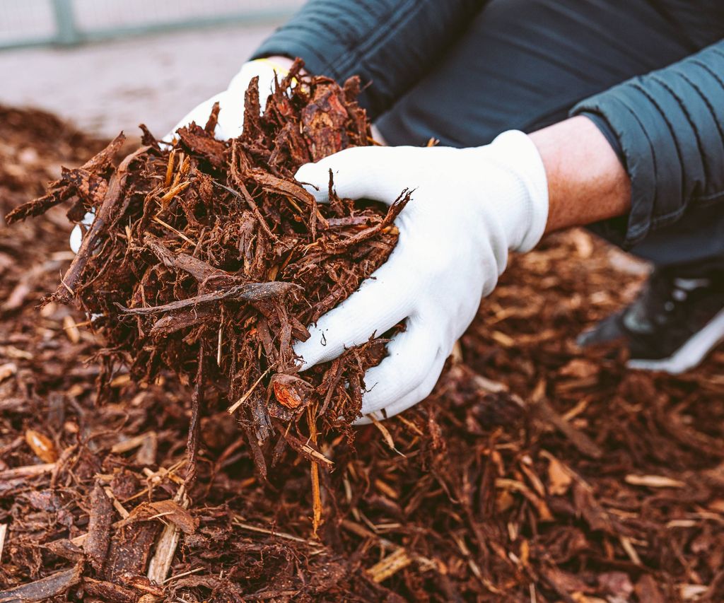 Best Eco-Friendly Mulch – Plus Which Mulches To Avoid | Gardening Know How