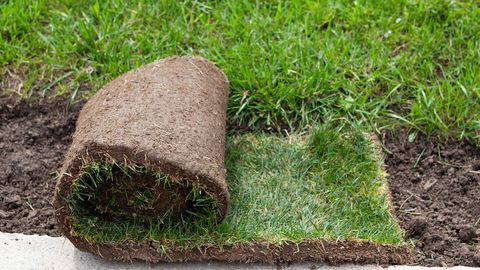 Can you lay turf over grass? Experts weigh in on this method | Homebuilding