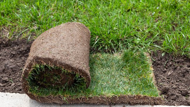 Can you lay turf over grass? Experts weigh in on this method | Homebuilding