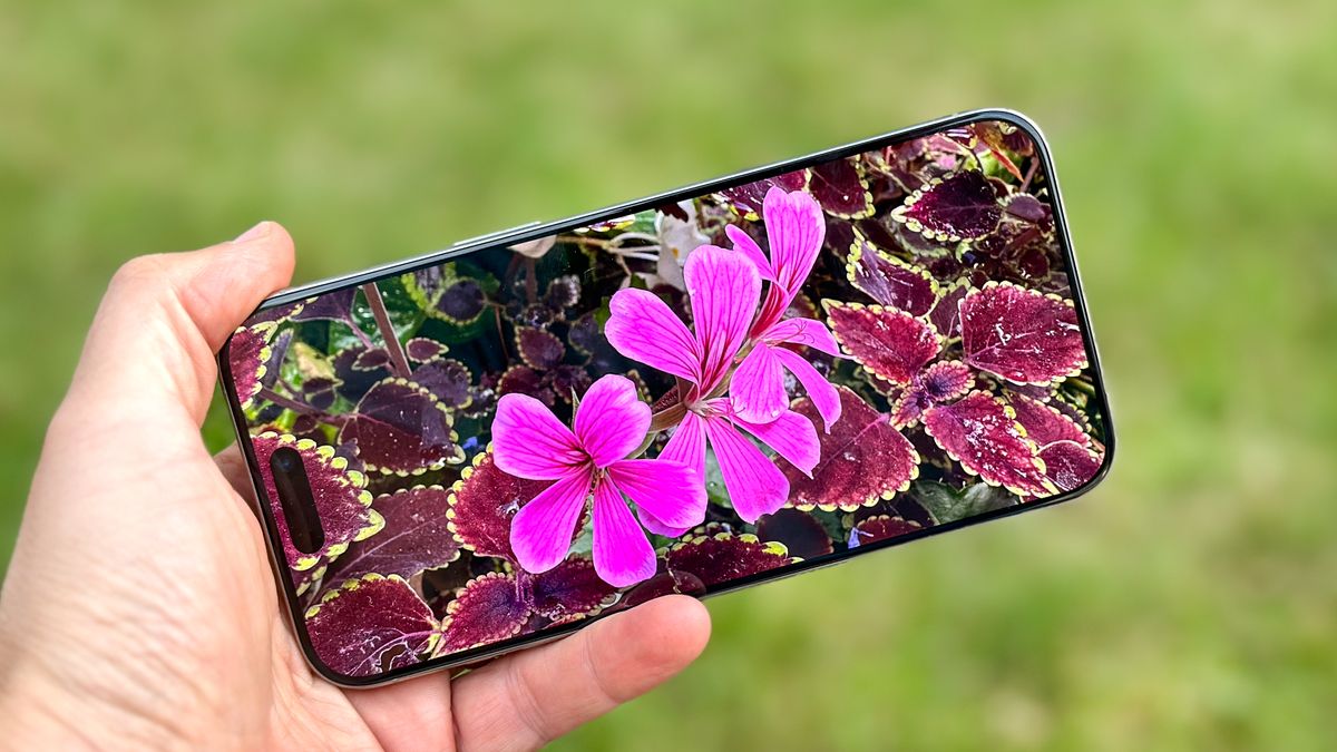 Looking for a camera phone? Here's the specs you should concentrate on ...