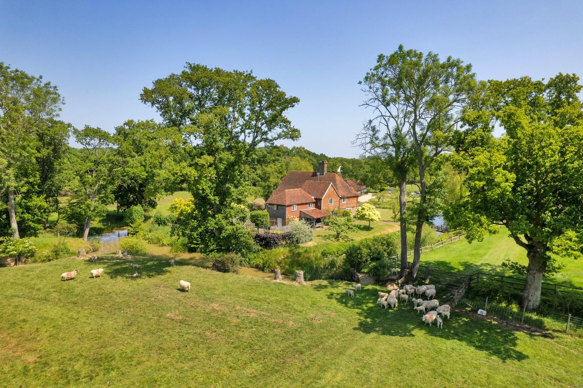 'You need to be able to pull up the drawbridge': How to make multi ...