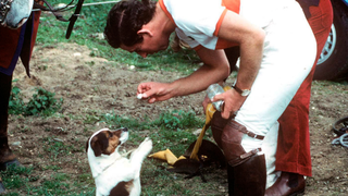 The Royal Family’s dogs: Everything you need to know | PetsRadar