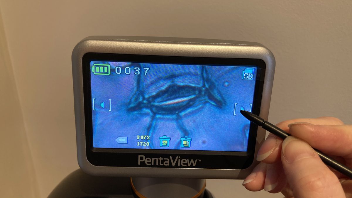 Celestron PentaView LCD Digital Microscope Review | Live Science