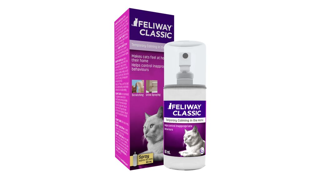 Feliway explained: How Feliway can help stressed cats | PetsRadar