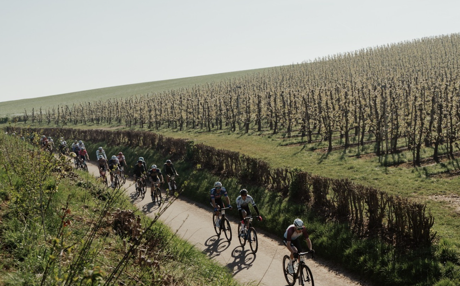 Cycling Races Results - Cyclingnews