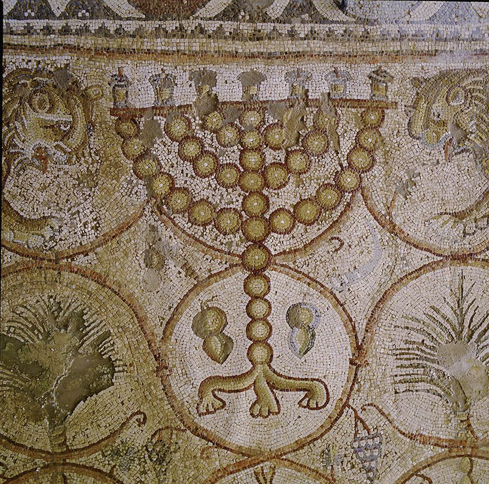 Sour Note: In Ancient Rome, Lemons Were Only for the Rich | Live Science