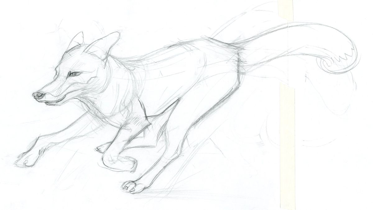 How to draw a fox using Indian ink | Creative Bloq