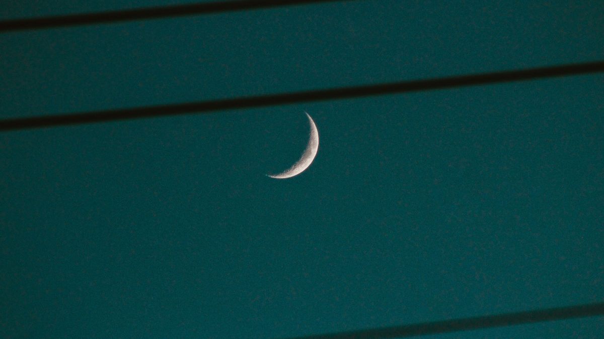 Astrophotography in January 2023: what to shoot in the night sky this ...