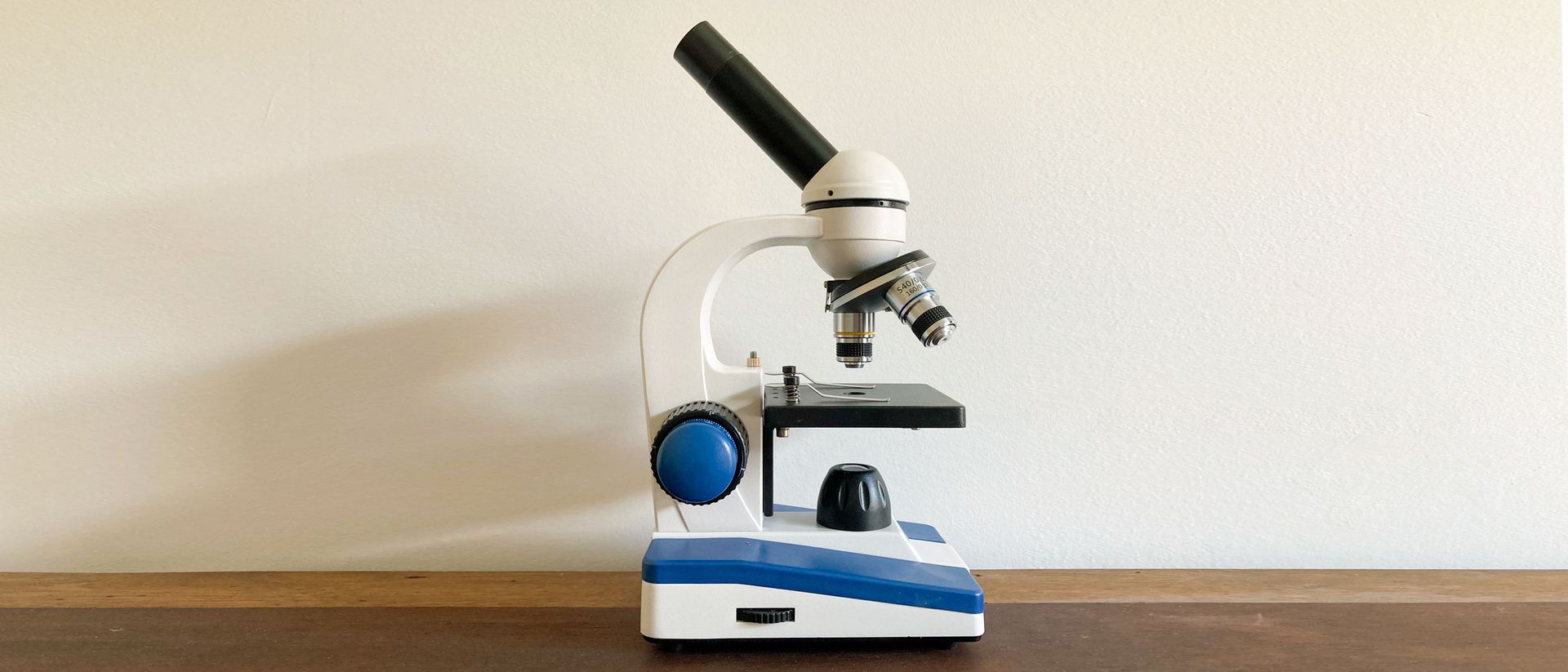 AmScope M150C compound microscope review | Live Science