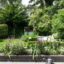 8 of the best climbing plants for pots to add height and style to your ...