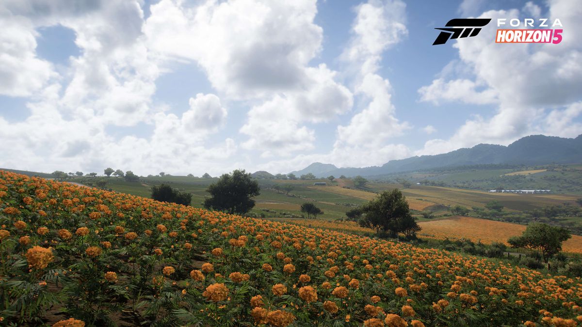 Forza Horizon 5's Mexico biomes look unbelievably pretty in these new ...