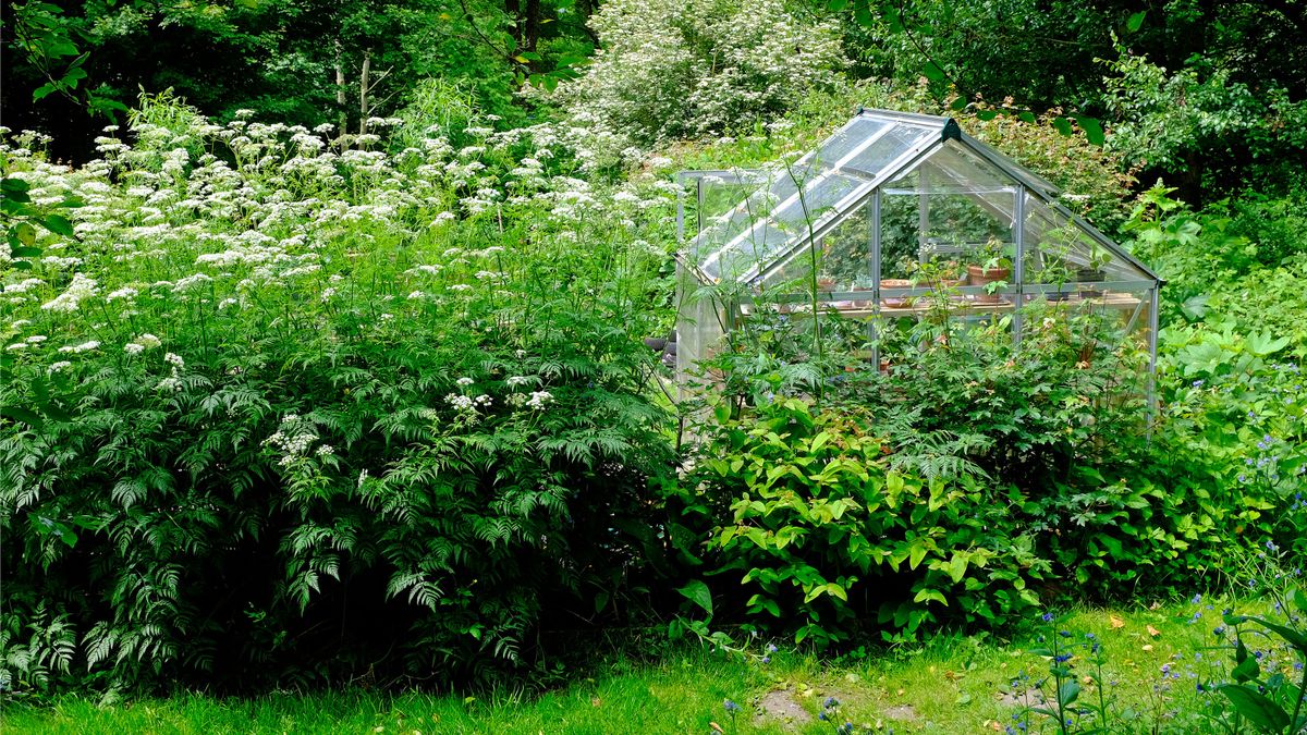 The worst gardening trend 2021, according to expert | Gardeningetc