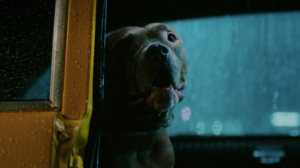John Wick's Best In Show: A Loving Tribute To The Franchise's Scene ...