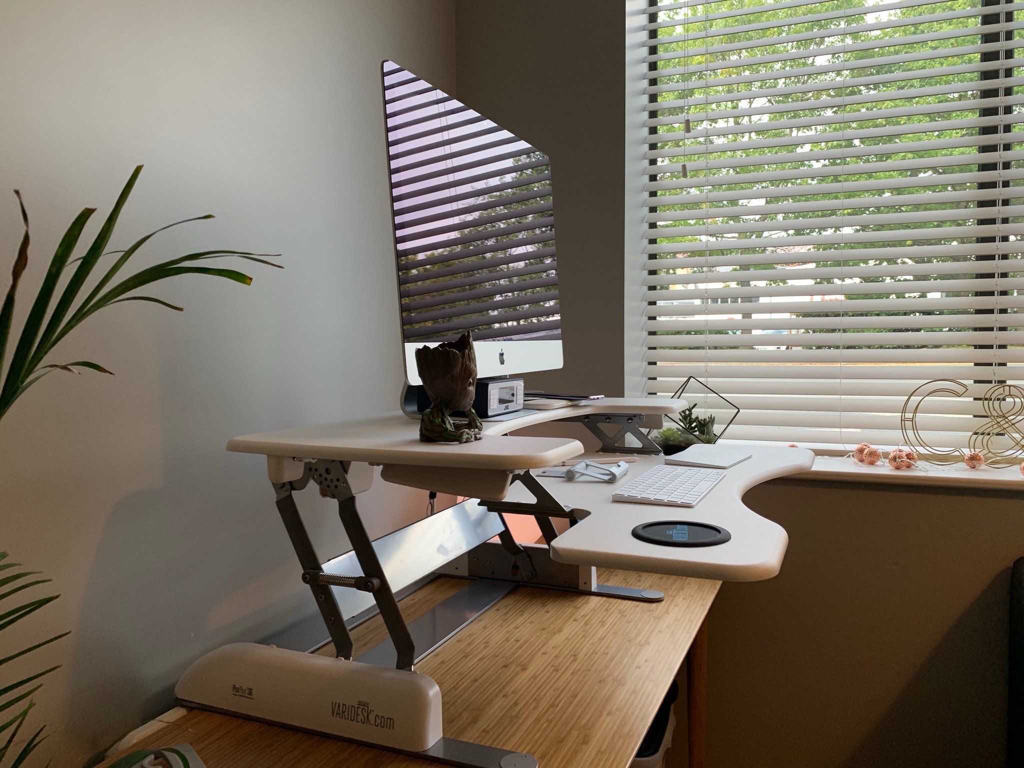 Varidesk ProPlus 36 review: Switch up your workspace | Windows Central