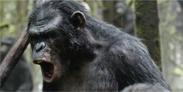 5 Incredible Facts You Need To Know Before Seeing Dawn Of The Planet Of ...