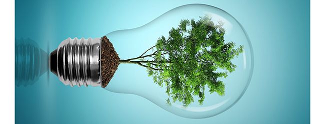 Energy Evolves as Fourth Industrial Revolution Looks to Nature | Live ...