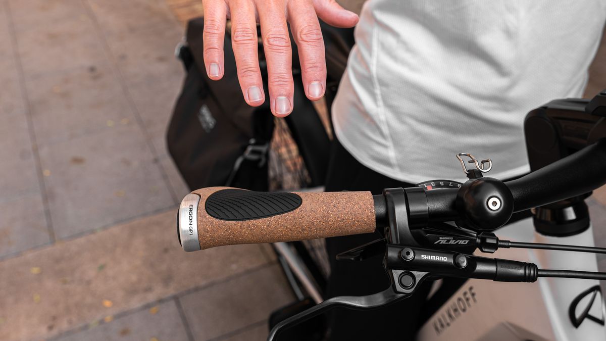 Are the new Ergon GP1 Evo the ultimate ergonomic and eco-friendly bike ...