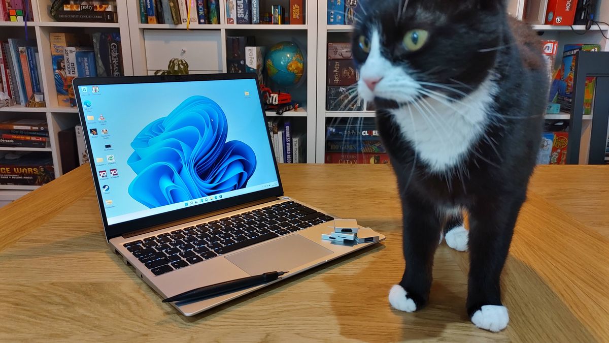 Framework Laptop DIY Edition review | TechRadar