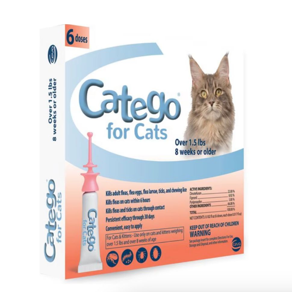 Best flea treatments for cats 2024 to keep the pests at bay | PetsRadar