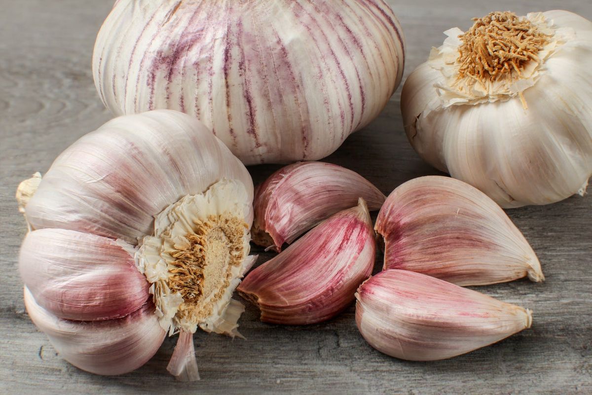 What Is Red Toch Garlic – How To Plant And Prepare Tochliavri Garlic ...