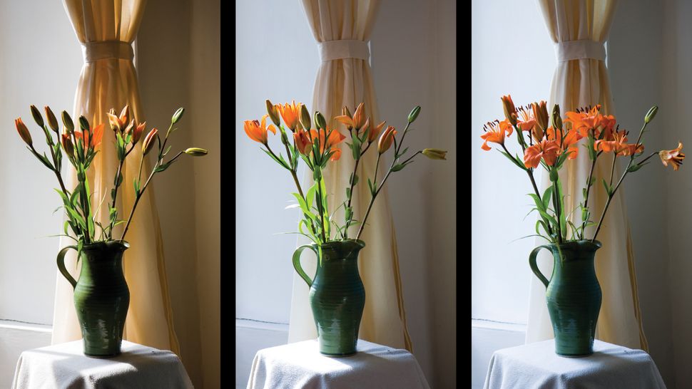 26 camera effects – from A to Z | Digital Camera World