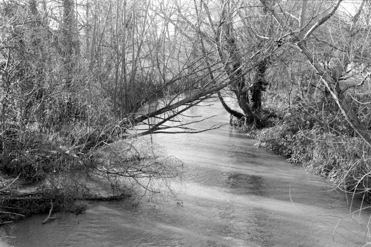 Ilford HP5 Plus 35mm film review: monochrome magnificence | Digital ...