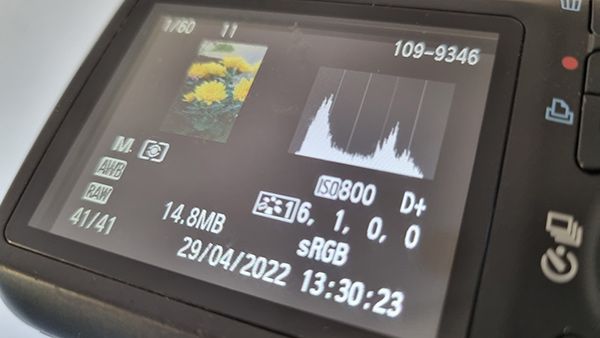 A beginner's guide to how to edit photos | Creative Bloq