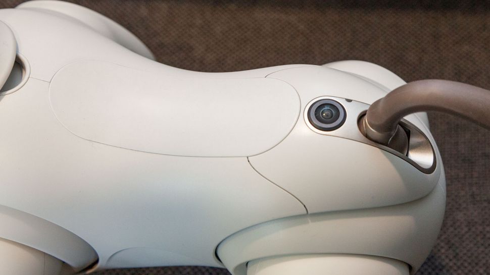 Sony Aibo Review: What It’s Like To Live With a $2,900 Robot Dog | Tom's Guide