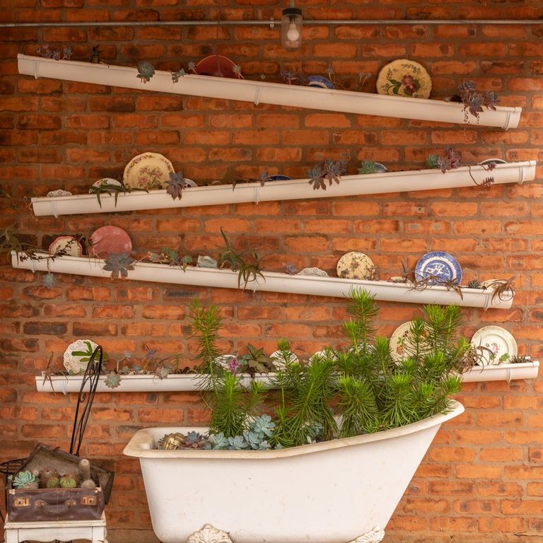 DIY Gutter Garden Ideas: Tips For Growing A Gutter Garden | Gardening ...