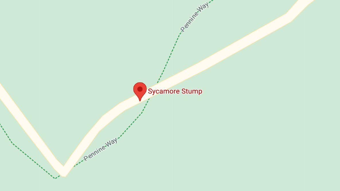 Now I'll never get to photograph Sycamore Gap, but others are hurting ...