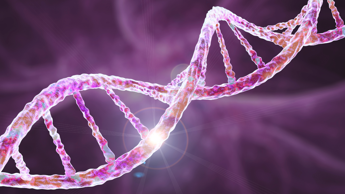 Ancient DNA and modern genomes can reveal stories of past peoples, from ...