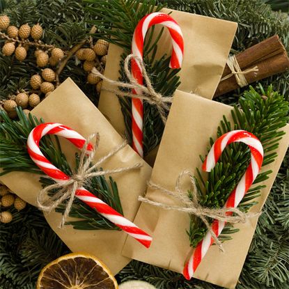 Have a candylicious Christmas with these creative candy cane ...