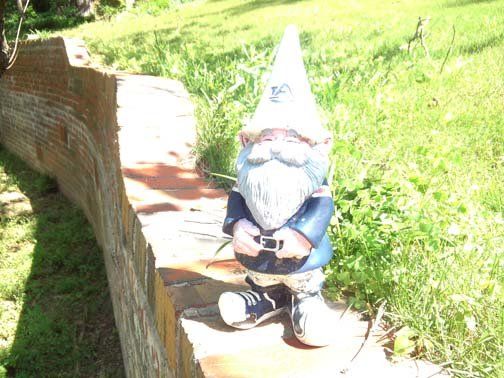 Understanding your Windows Phone Camera | Windows Central