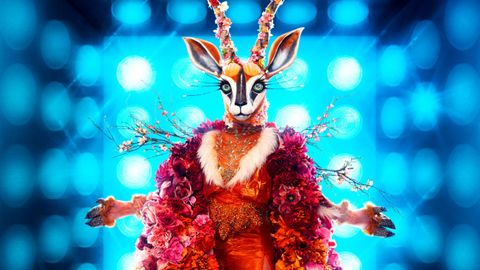 Masked Singer fans convinced Gazelle is an Oscar winner | What to Watch