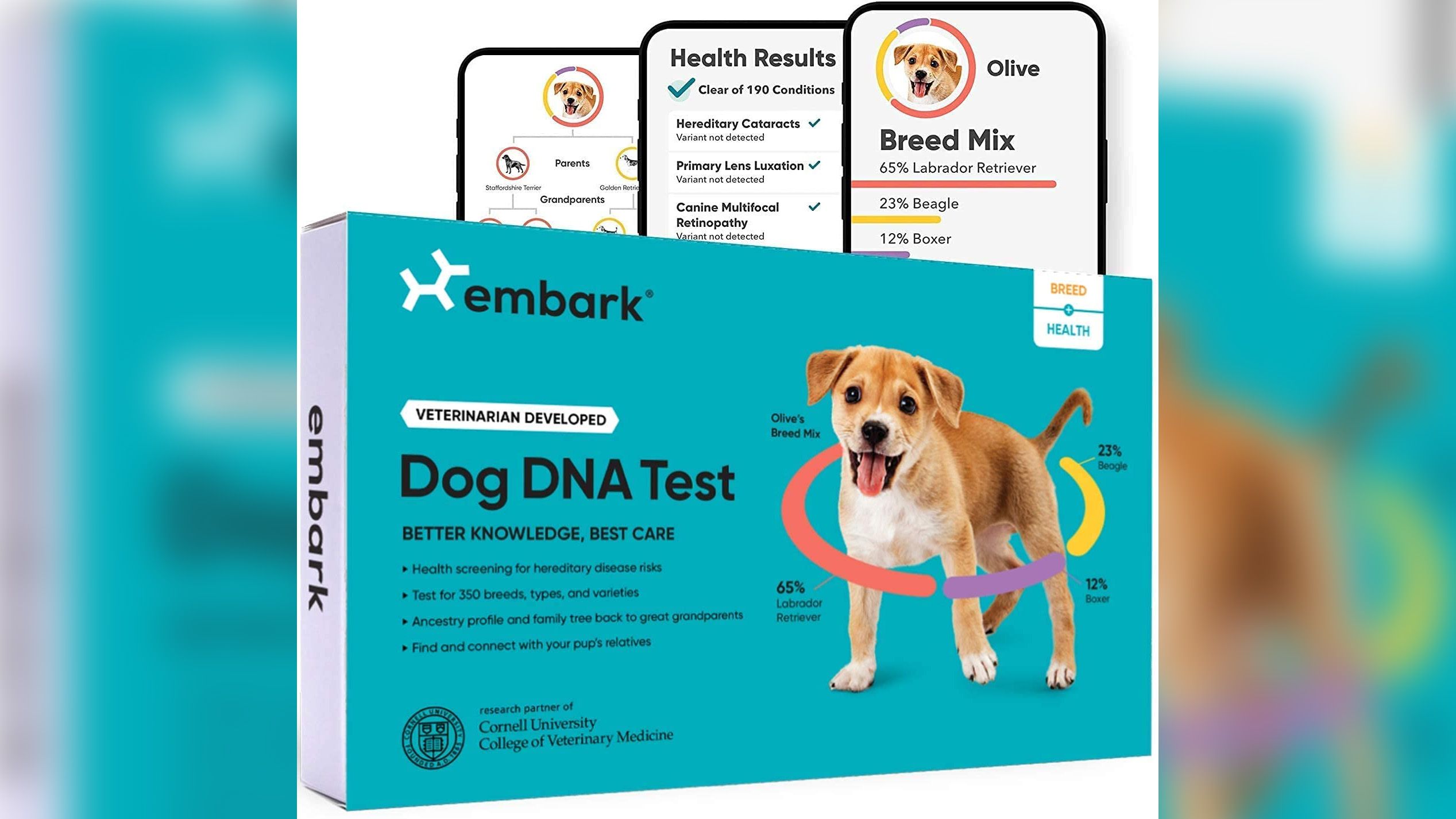 Black Friday Deal: Save 32% on this dog DNA test kit | Live Science