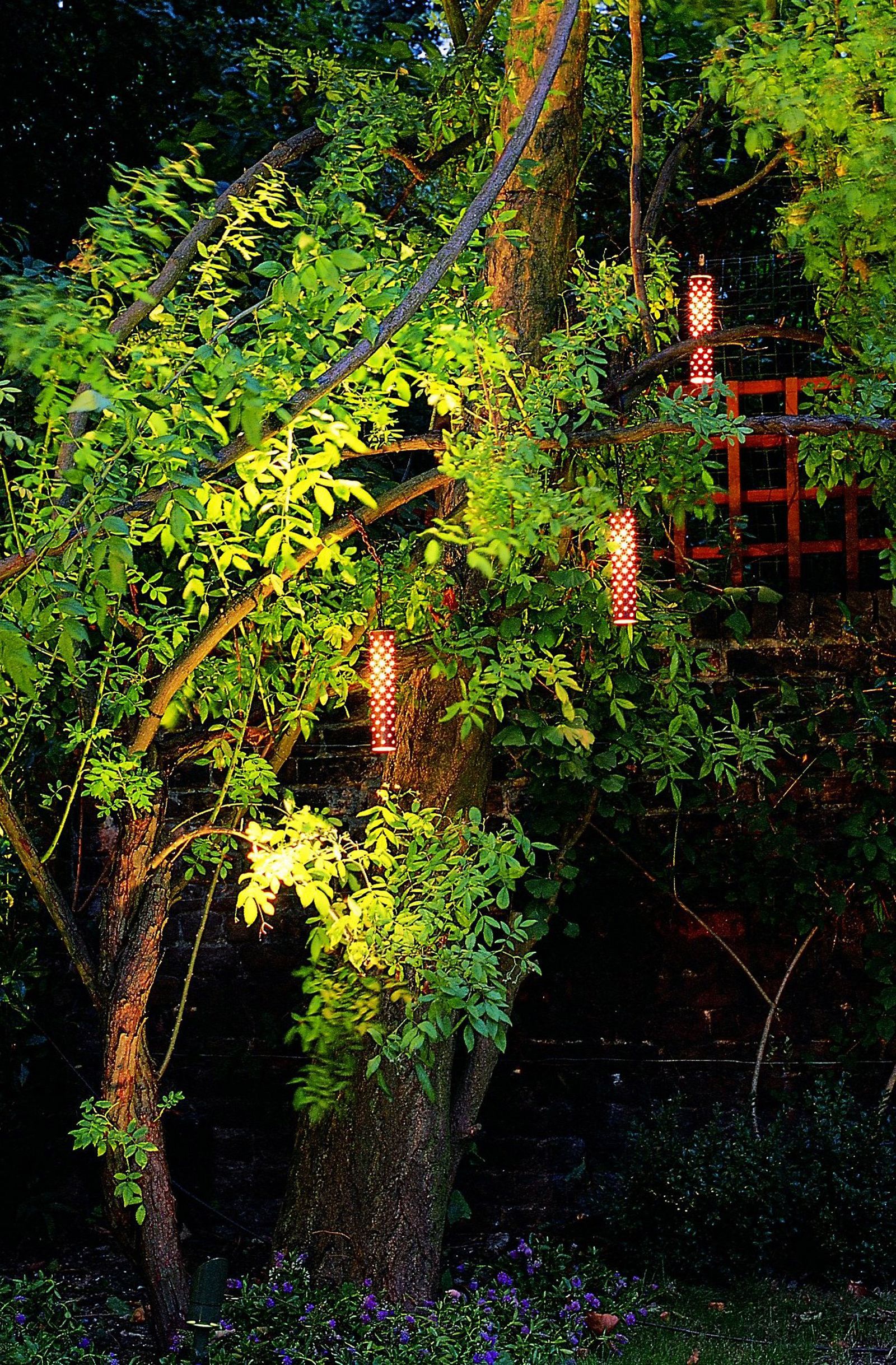 Outdoor lighting design: how to plan garden lighting with confidence ...