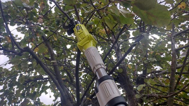 Ryobi ONE+ 18V Cordless Pole Lopper review | Top Ten Reviews