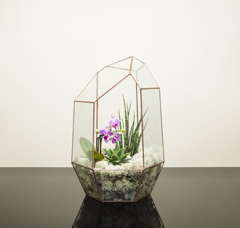 10 terrarium ideas for a beautiful plant display | Real Homes