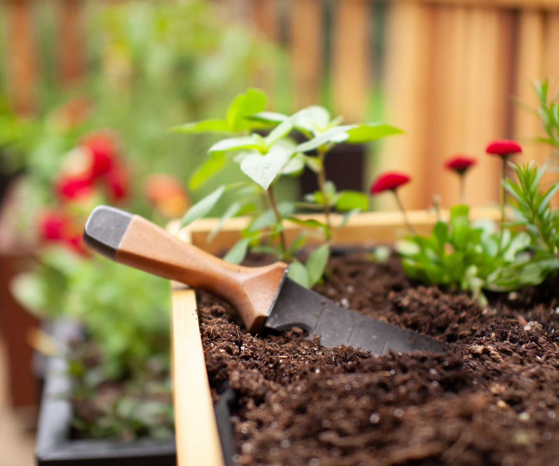 Weeder types explained – pros explore all 10 types of tool | Homes and ...