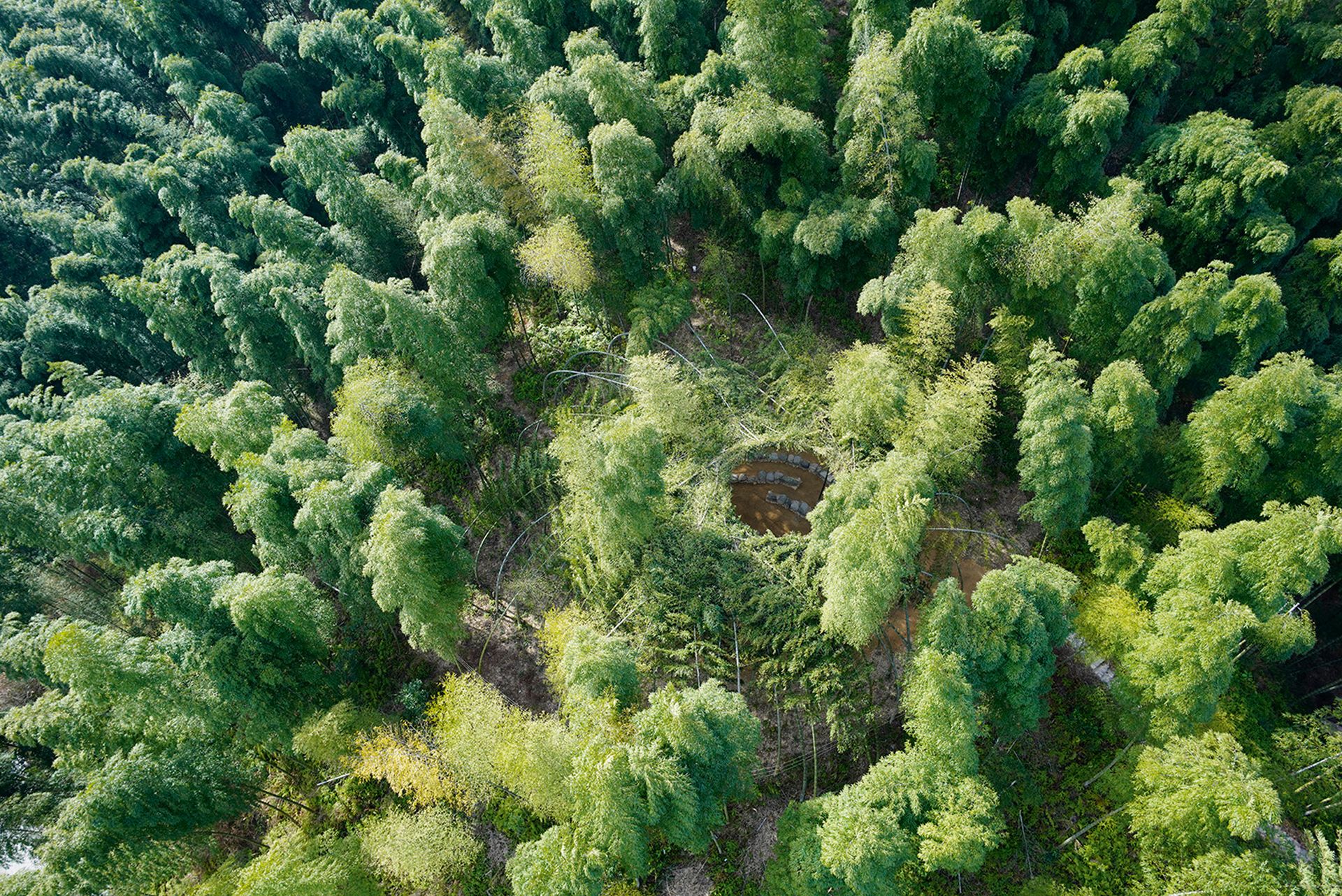 Regenerative design: meet the creatives leading the way | Wallpaper*