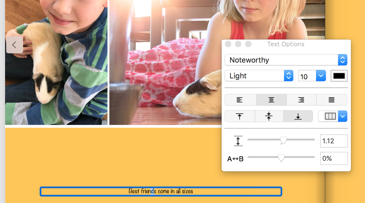 Apple Photo Book Review: Best Value Photo Book Service | Tom's Guide